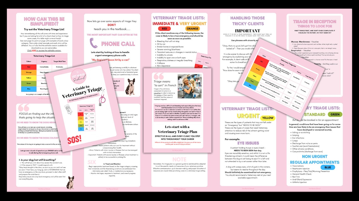 Veterinary Triage Guide - Etsy