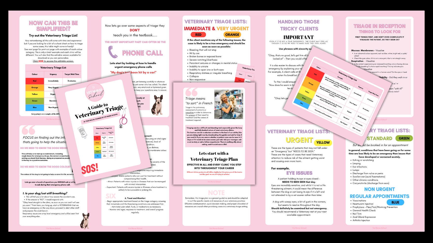 Veterinary Triage Guide - Etsy