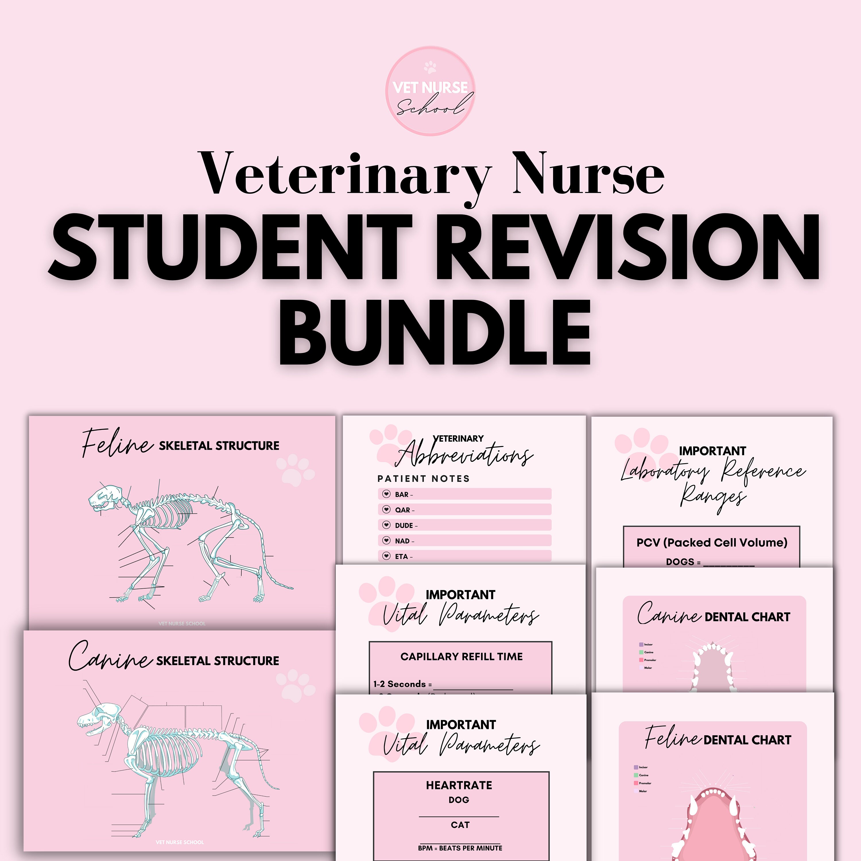 Veterinary Nursing Student Revision Quiz Pack DIGITAL DOWNLOAD 8 Page ...