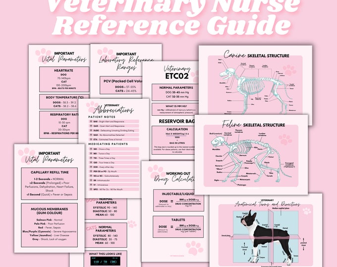 Veterinary Nursing Student Revision Quiz Pack DIGITAL DOWNLOAD 8 Page ...