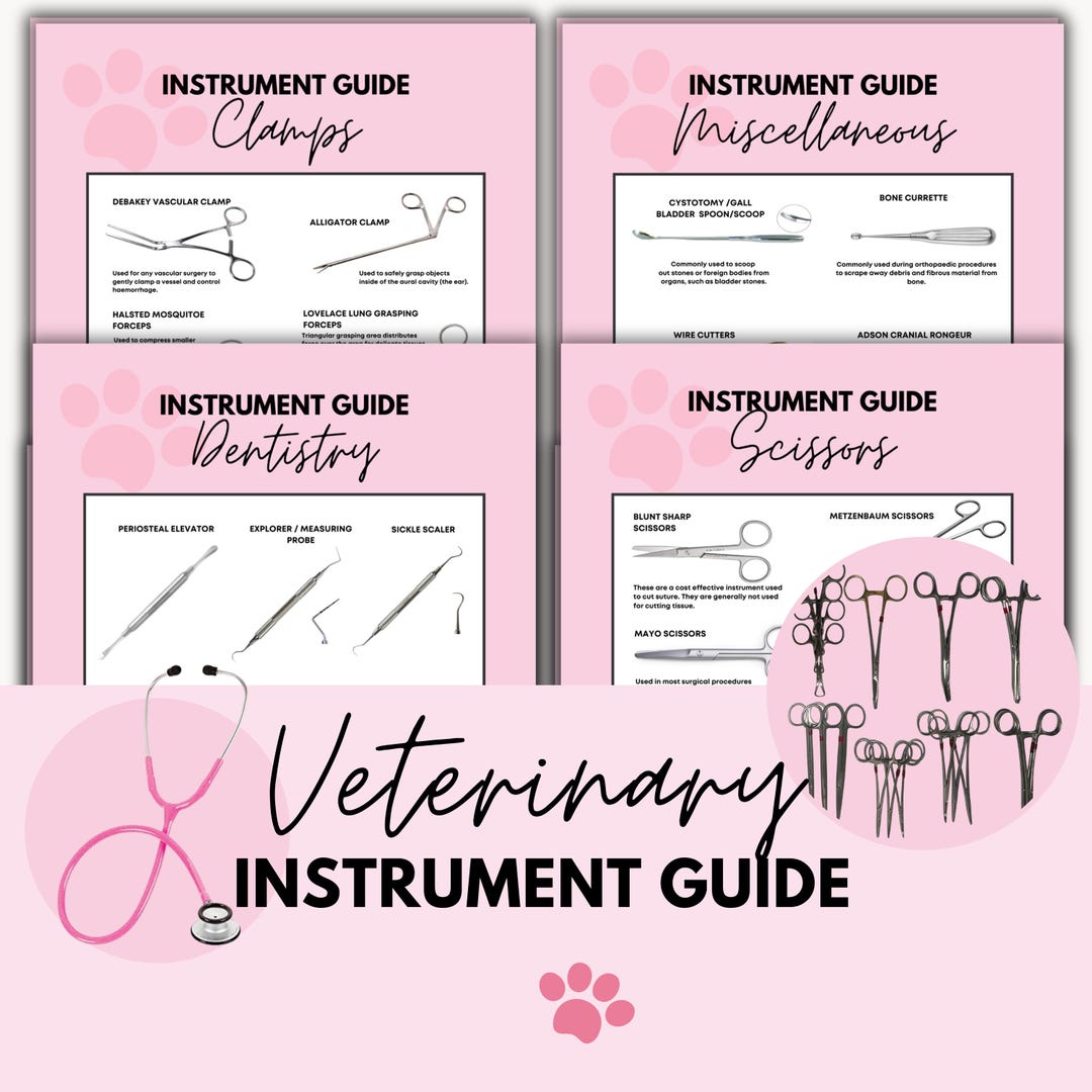 Veterinary Surgical Kit Contents Guide Nurse Nursing Instruments - Etsy