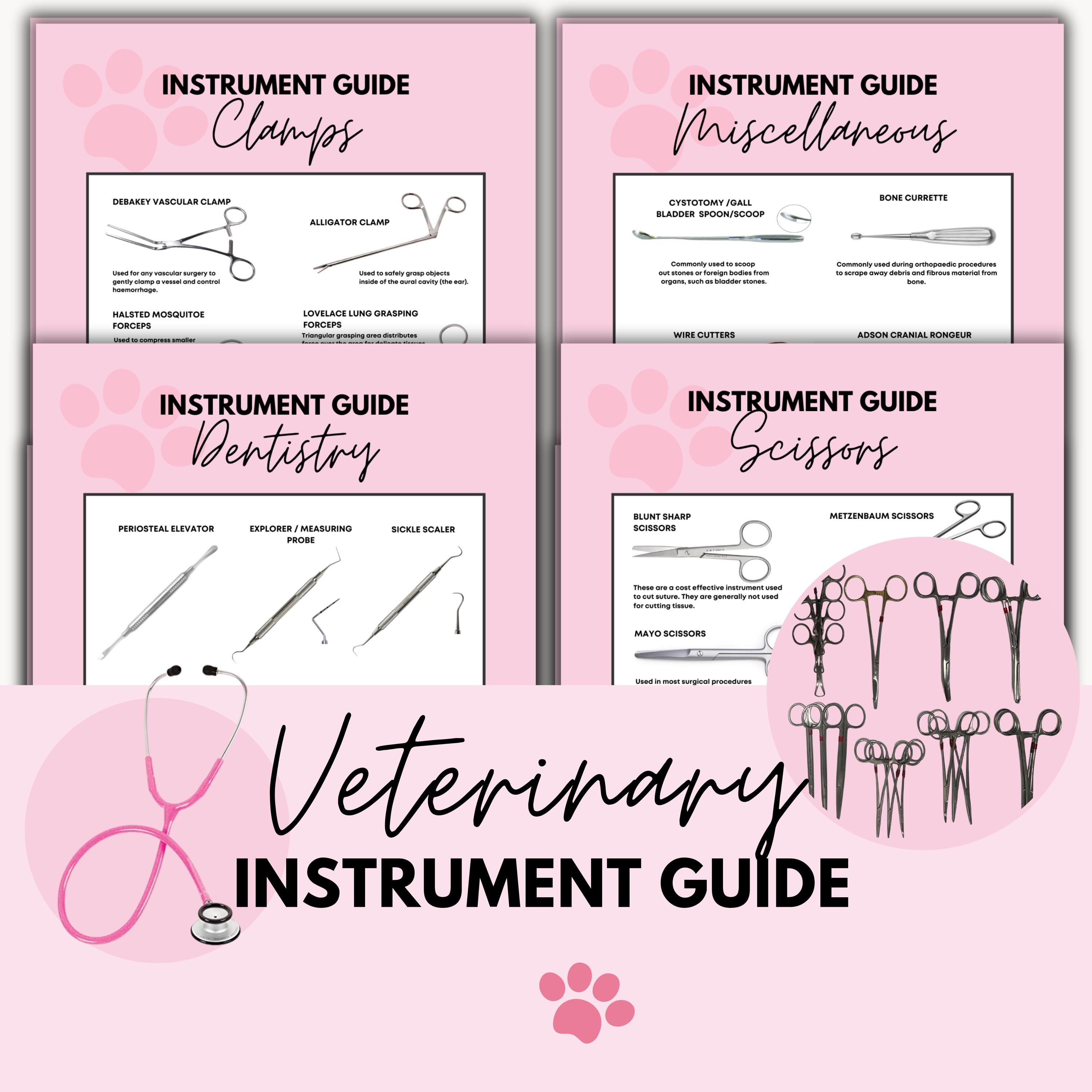Veterinary Surgical Kit Contents Guide Nurse Nursing Instruments - Etsy