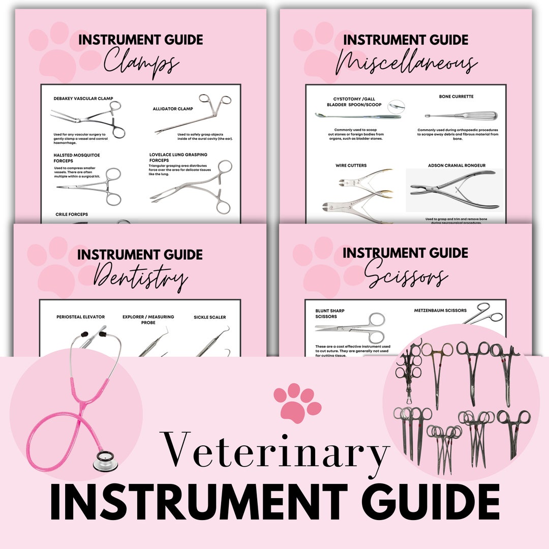 Veterinary Instrumentation Guide Surgical Instrument Poster DIGITAL ...