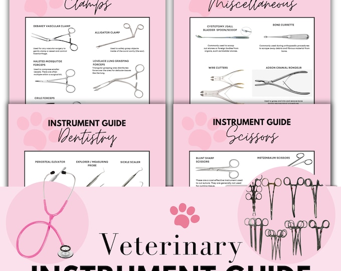 Veterinary Nursing Student Revision Quiz Pack DIGITAL DOWNLOAD 8 Page ...