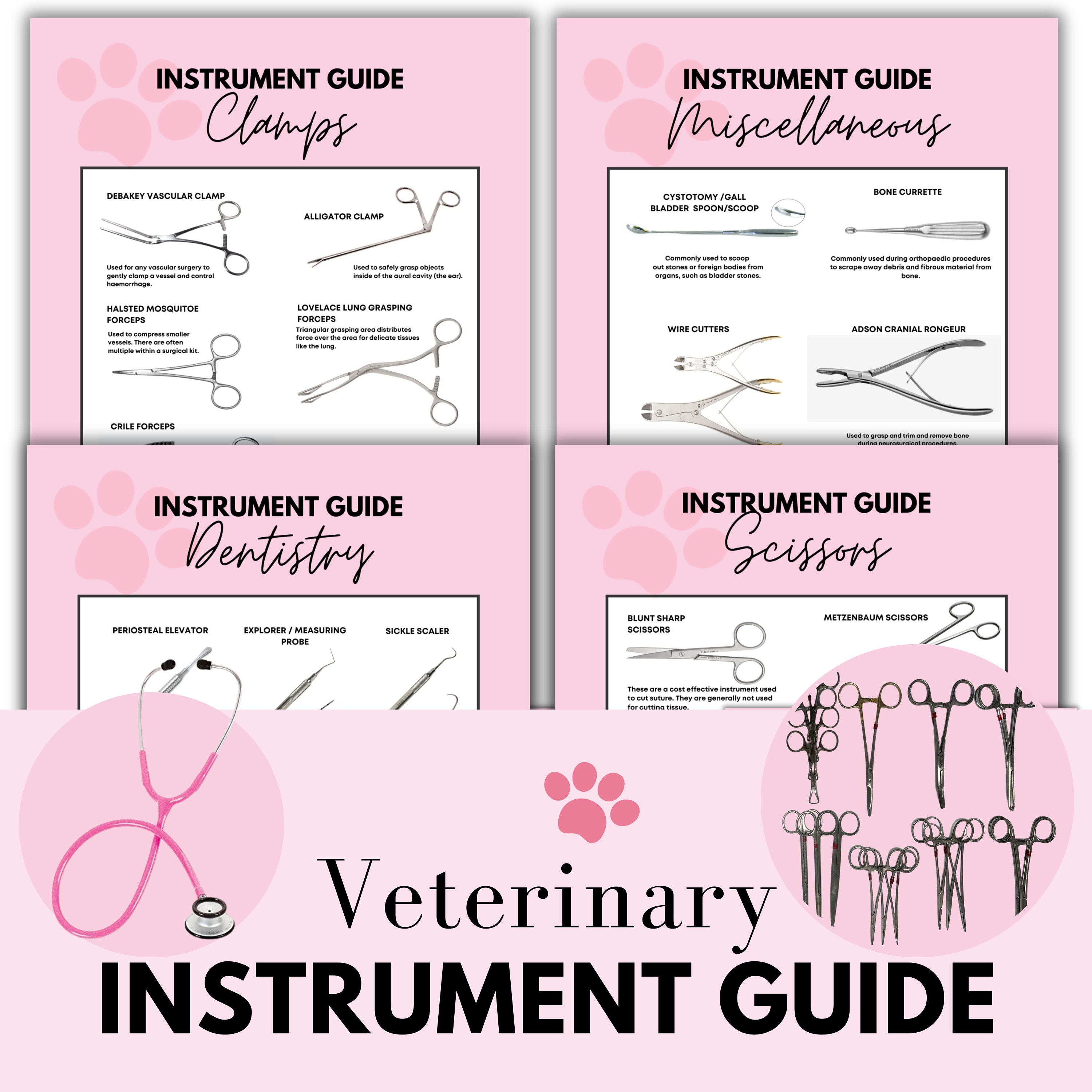Veterinary Instrumentation Guide Surgical Instrument Poster DIGITAL ...