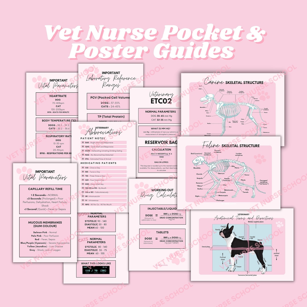 Veterinary Nursing Reference Guide Pocket Poster DIGITAL DOWNLOAD 10 ...