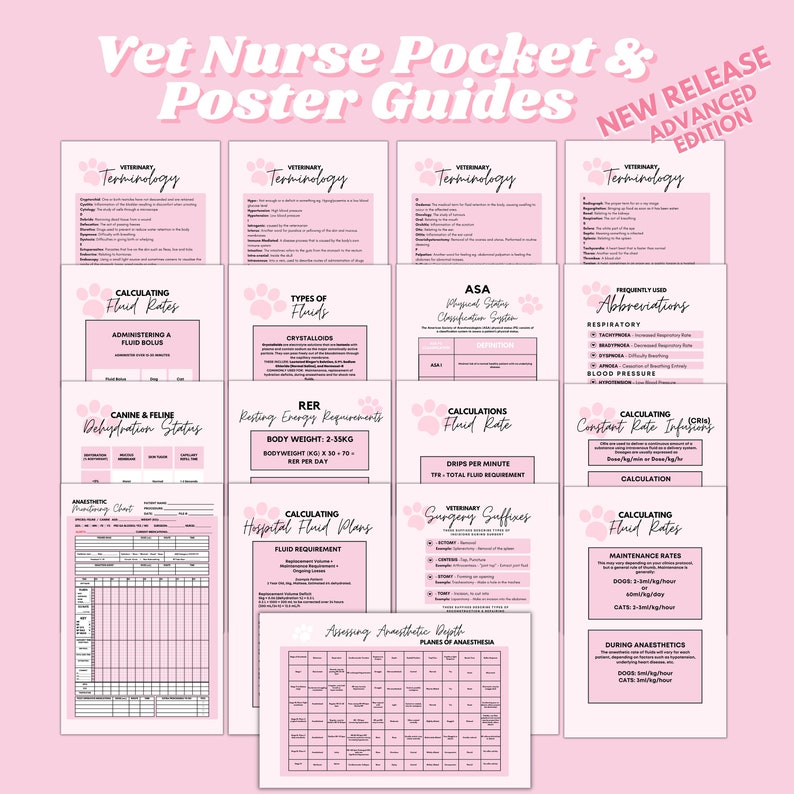 Advanced Veterinary Nursing Reference Guides DIGITAL DOWNLOAD - Etsy Australia
