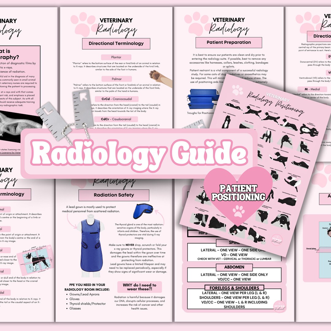 Radiography Positioning & X-ray Terminology for Veterinary Nurses - Etsy