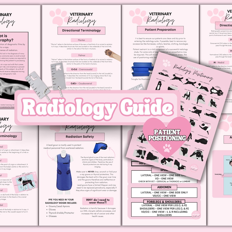 Vet Nurse X-ray Radiography Positioning & X-ray Terminology for ...
