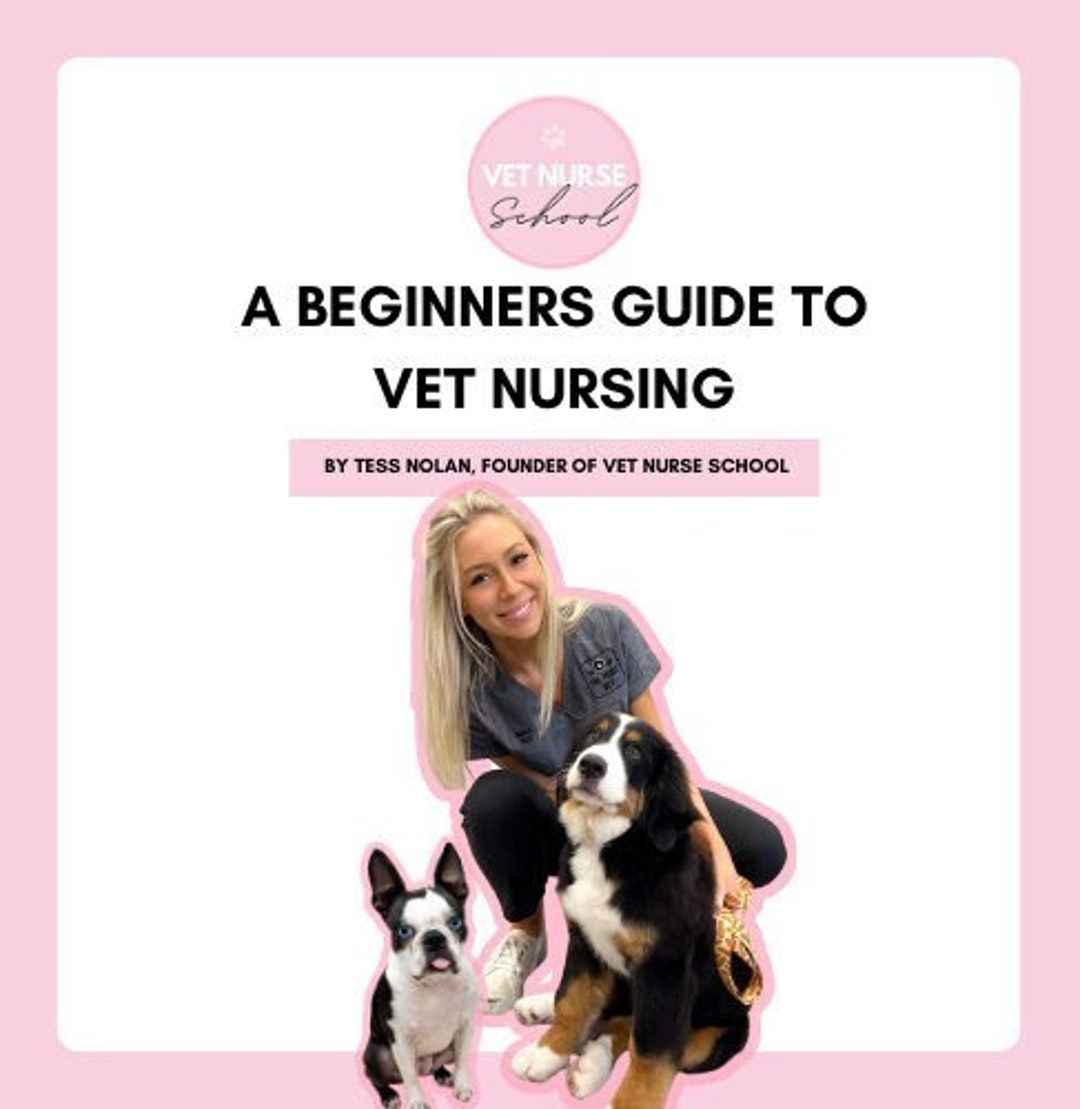 Vet Nurse Beginners Guide to Vet Nursing Ebook Digital Download - Etsy