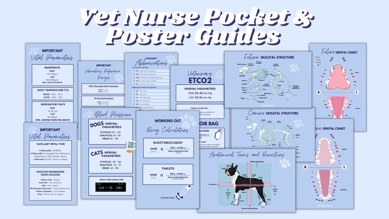 Veterinary Nursing Reference Guide Pocket Poster DIGITAL DOWNLOAD 10 ...