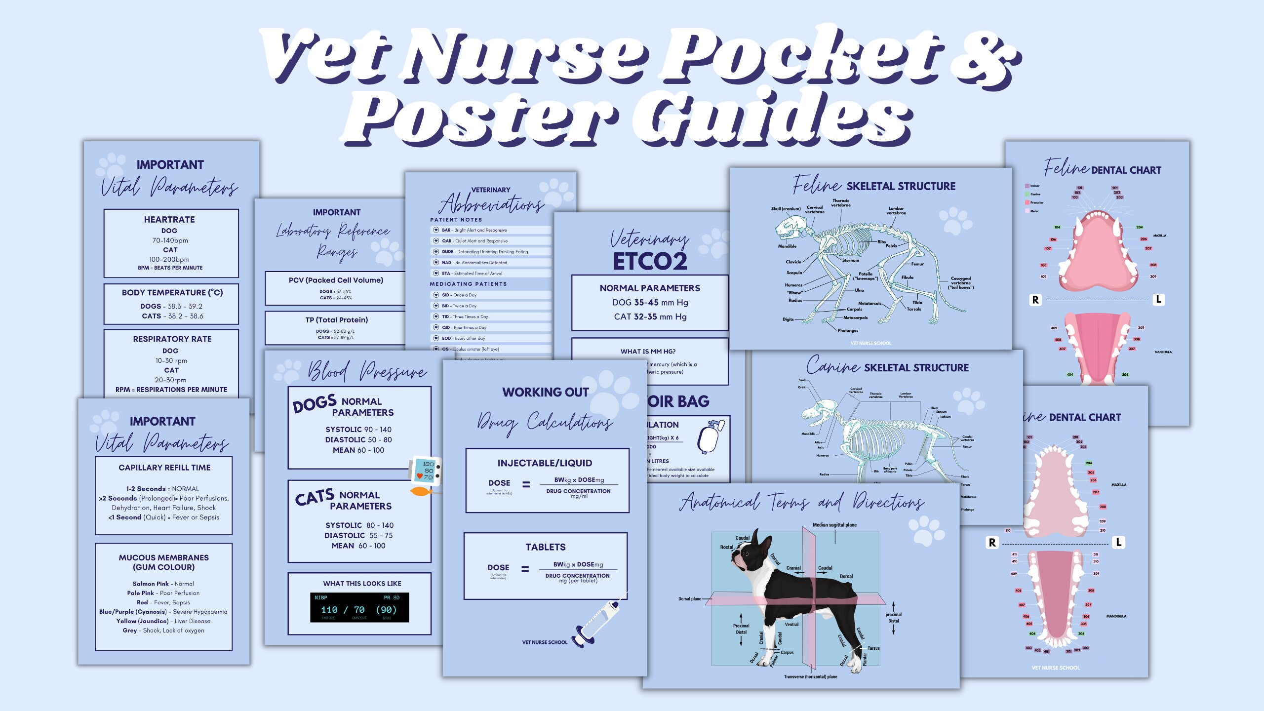 Veterinary Nursing Reference Guide Pocket Poster DIGITAL DOWNLOAD 10 ...