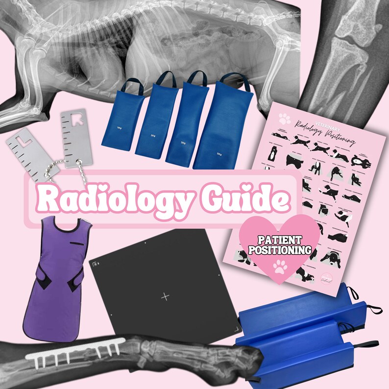 Vet Nurse Radiography Positioning & X-ray Terminology for Veterinary ...