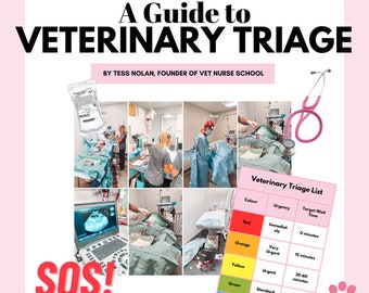 Veterinary Instrumentation Guide Surgical Instrument Poster DIGITAL ...