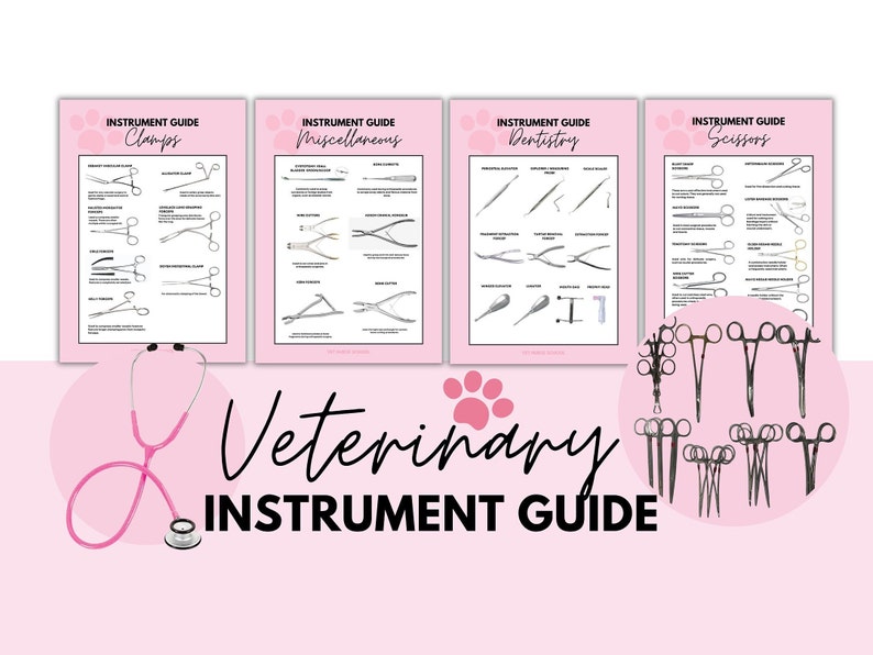 Veterinary Instrumentation Guide Surgical Instrument Poster DIGITAL ...