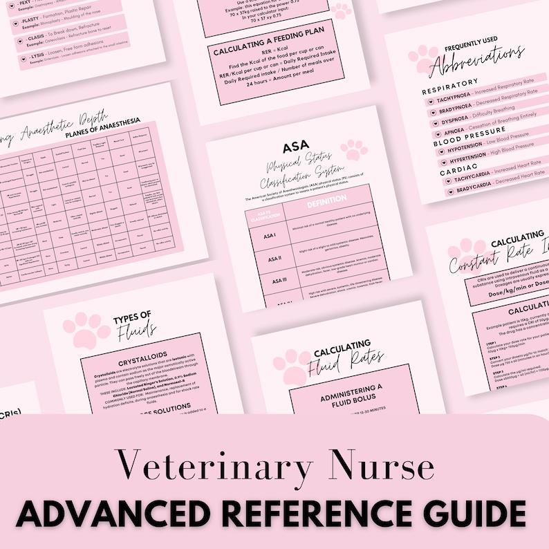 Advanced Veterinary Nursing Reference Guides DIGITAL DOWNLOAD - Etsy ...