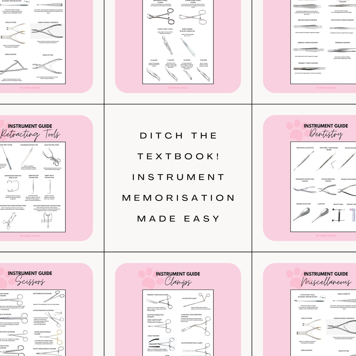 Veterinary Surgical Kit Contents Guide Nurse Nursing Instruments - Etsy