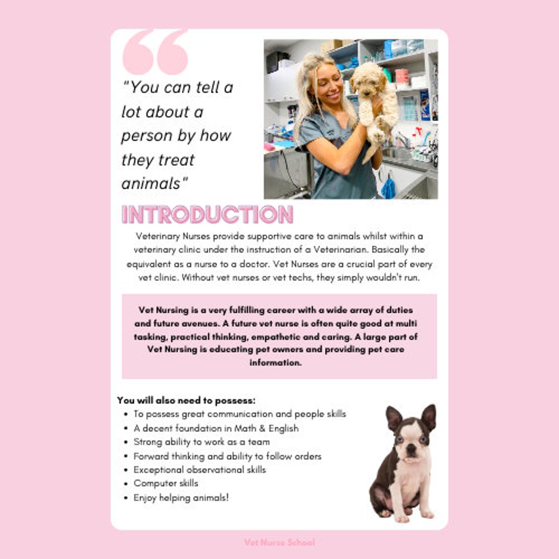 Vet Nurse Beginners Guide to Vet Nursing Ebook Digital Download - Etsy