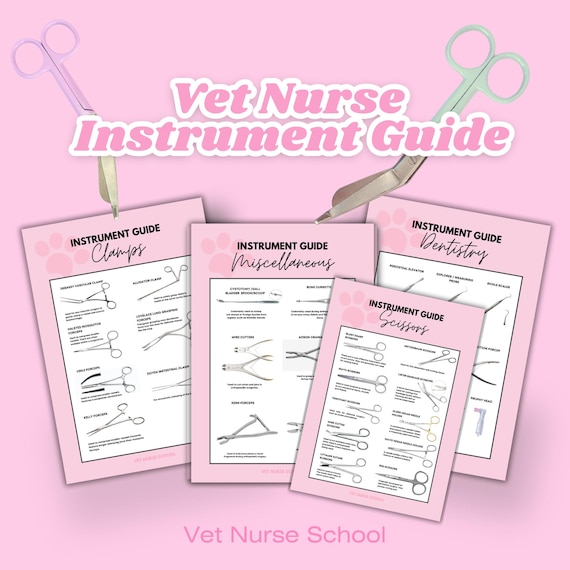 Veterinarian Tools Names