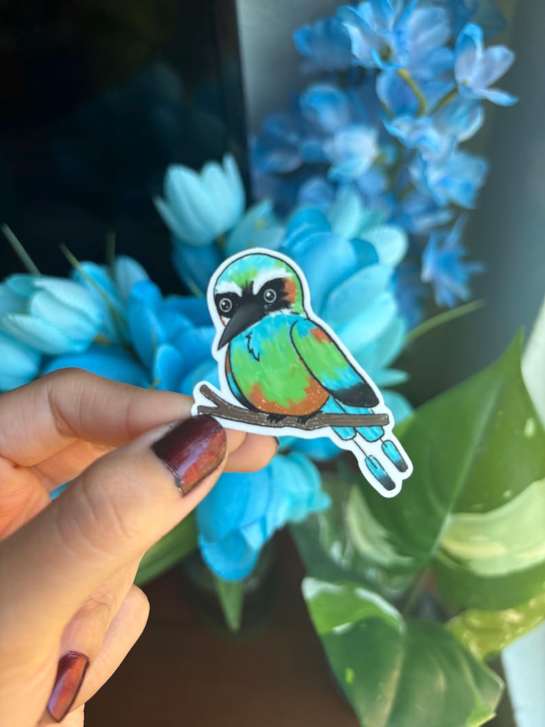 Torogoz Sticker - Etsy