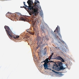 Large Natural Drift Wood, Large Lake Drift Wood, All Natural Drift Wood ...