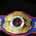 WKB KICK BOXING Championship Title Belt - Etsy