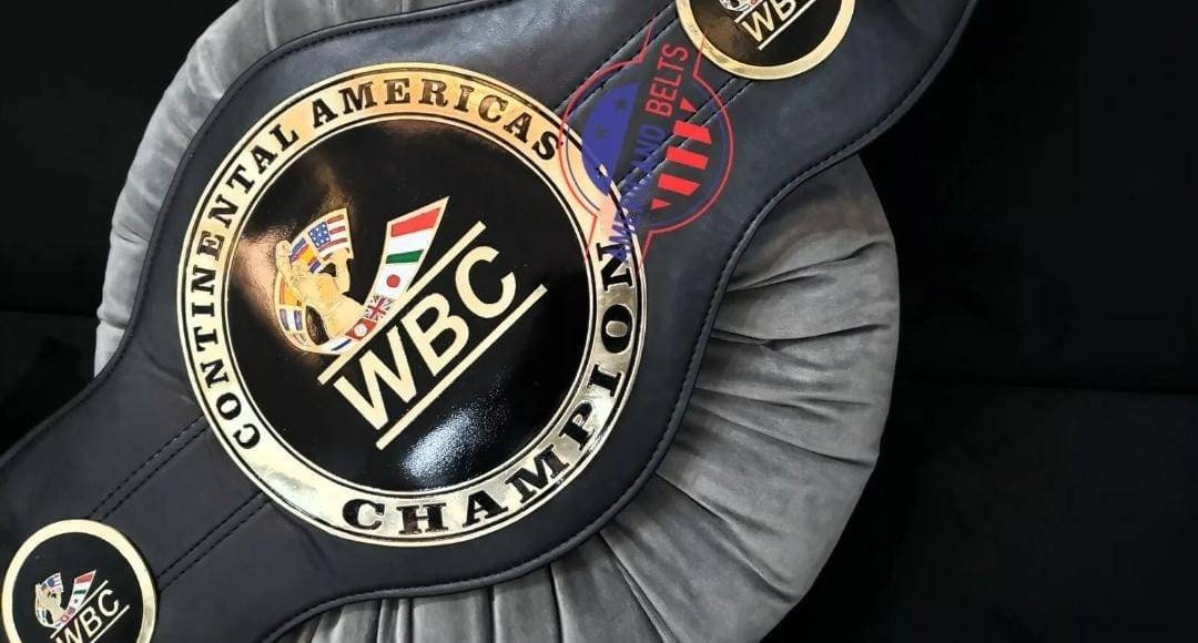 WBC WORLD HEAVYWEIGHT Boxing Championship Title Belt - Etsy