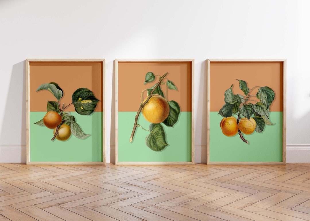 Apricot Wall Art 3 Piece Printable Fruit Art Minimalist Boho Poster ...