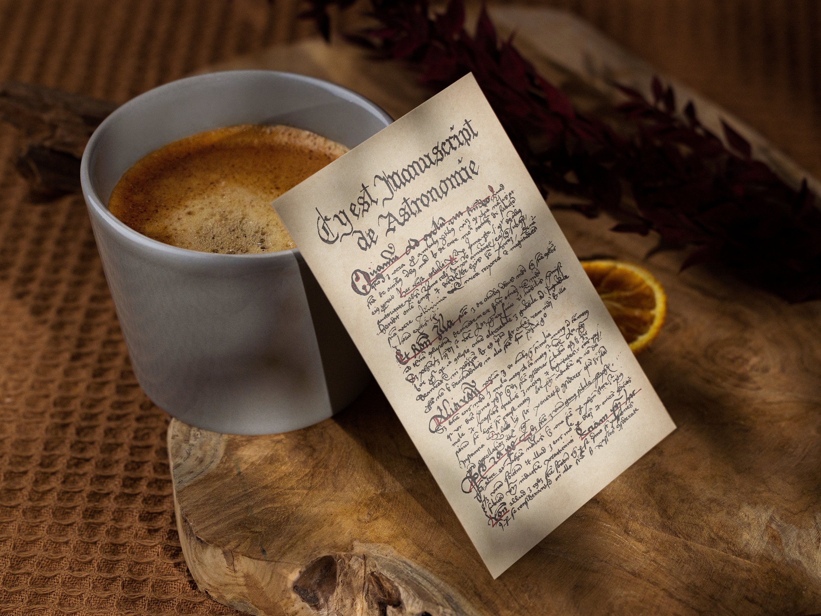 Medieval 15th Century Wall Art, Printable Esoteric Poster of Authentic ...