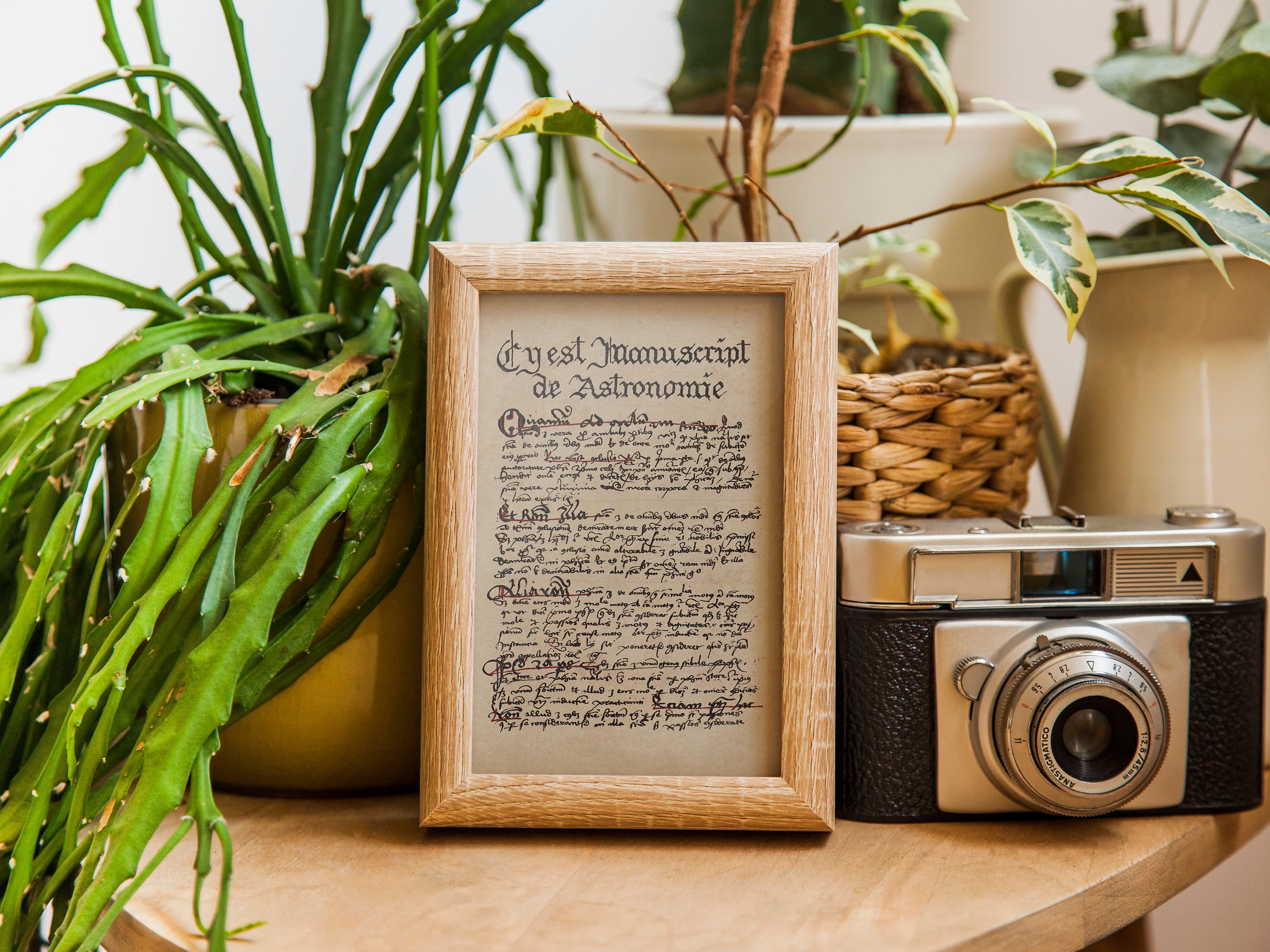 Medieval 15th Century Wall Art, Printable Esoteric Poster of Authentic ...