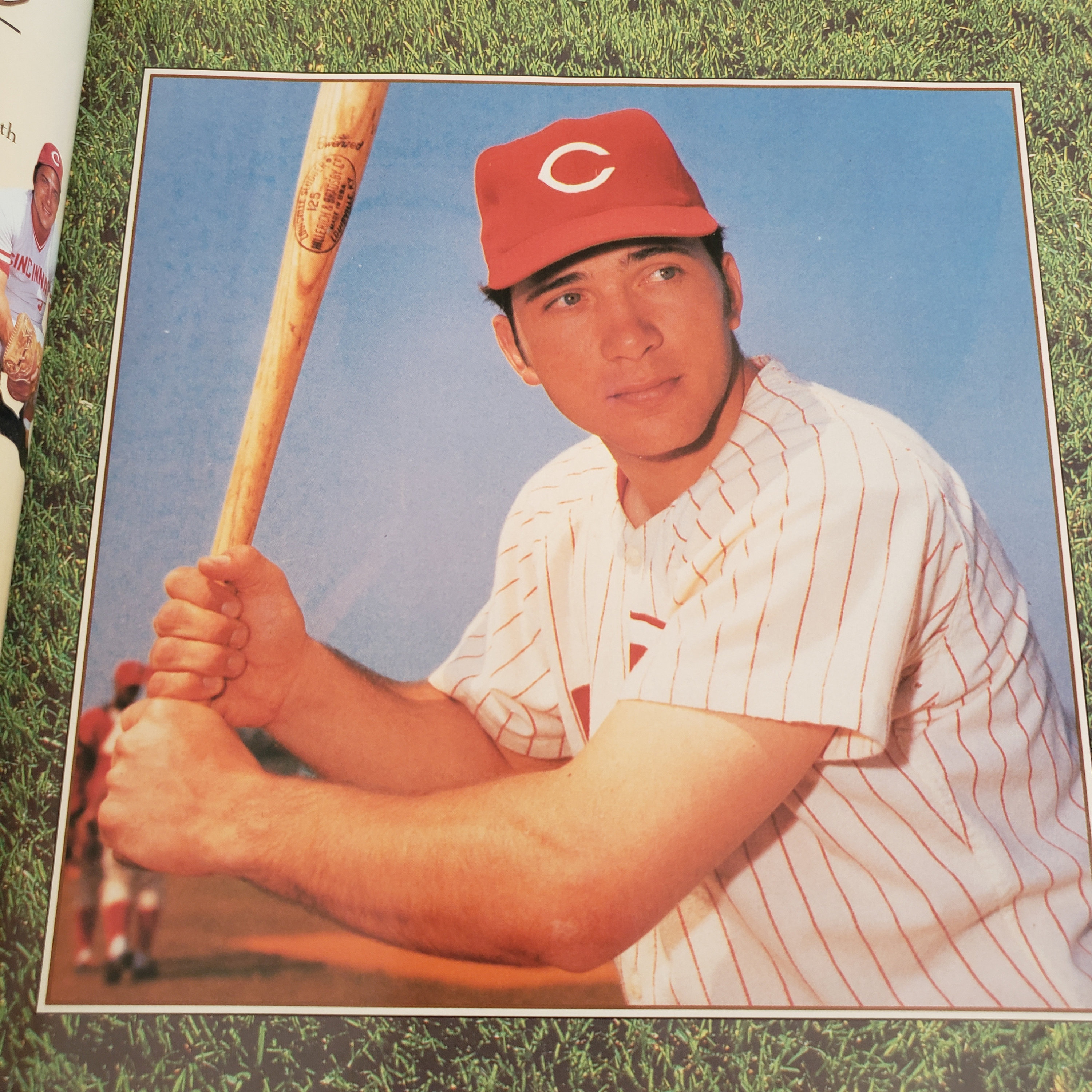 1994 Baseball Legends of All Time Hardback Book by Publications ...