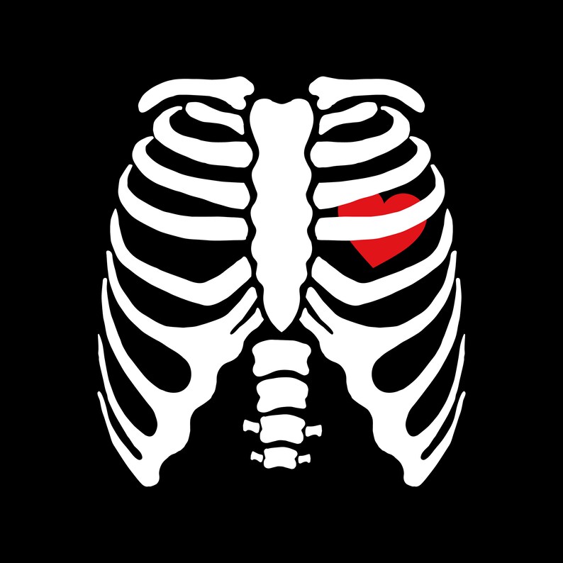 Skeleton Chest SVG File Png Easy to Cut Files Rib Cage With - Etsy
