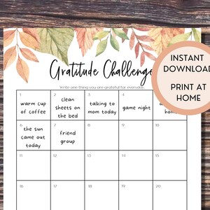 30 Day Gratitude Challenge Printable | Monthly Challenge Tracker ...
