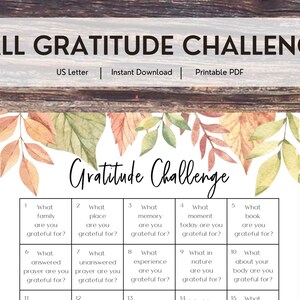 30 Day Gratitude Challenge Printable Monthly Challenge - Etsy