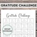 30 Day Gratitude Challenge Printable | Monthly Challenge Tracker ...