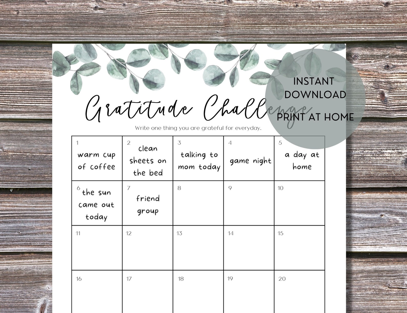 30 Day Gratitude Challenge Printable Monthly Challenge - Etsy