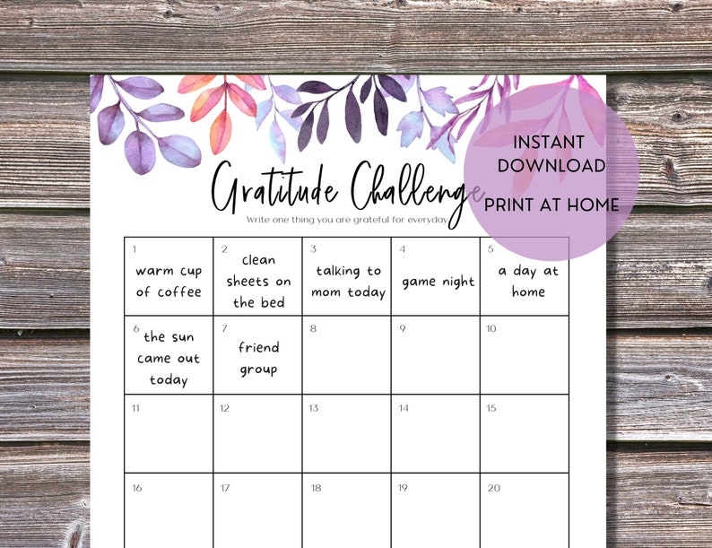 30 Day Gratitude Challenge Printable Monthly Challenge - Etsy