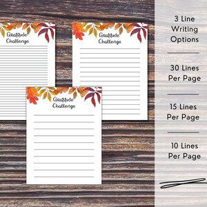 30 Day Gratitude Challenge Printable | Monthly Challenge Tracker ...