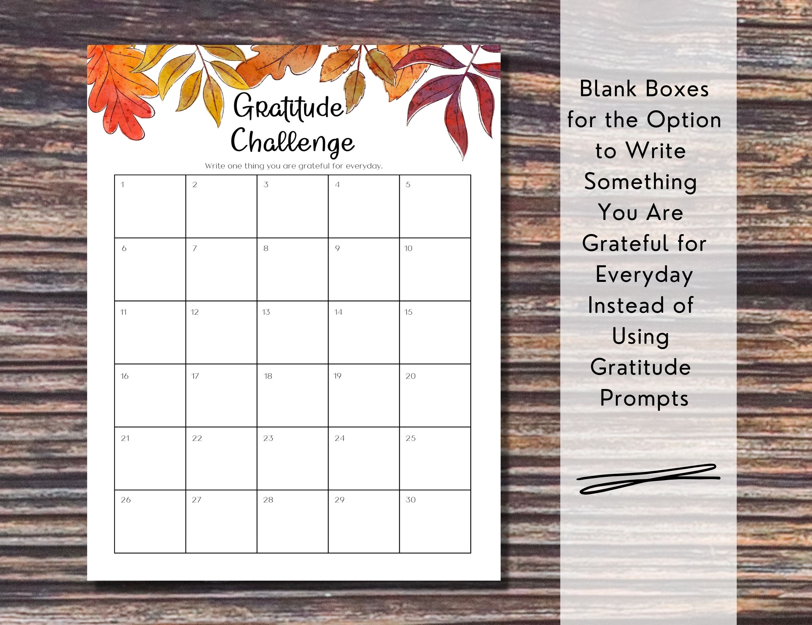 30 Day Gratitude Challenge Printable | Monthly Challenge Tracker ...