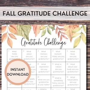 30 Day Gratitude Challenge Printable | Monthly Challenge Tracker ...