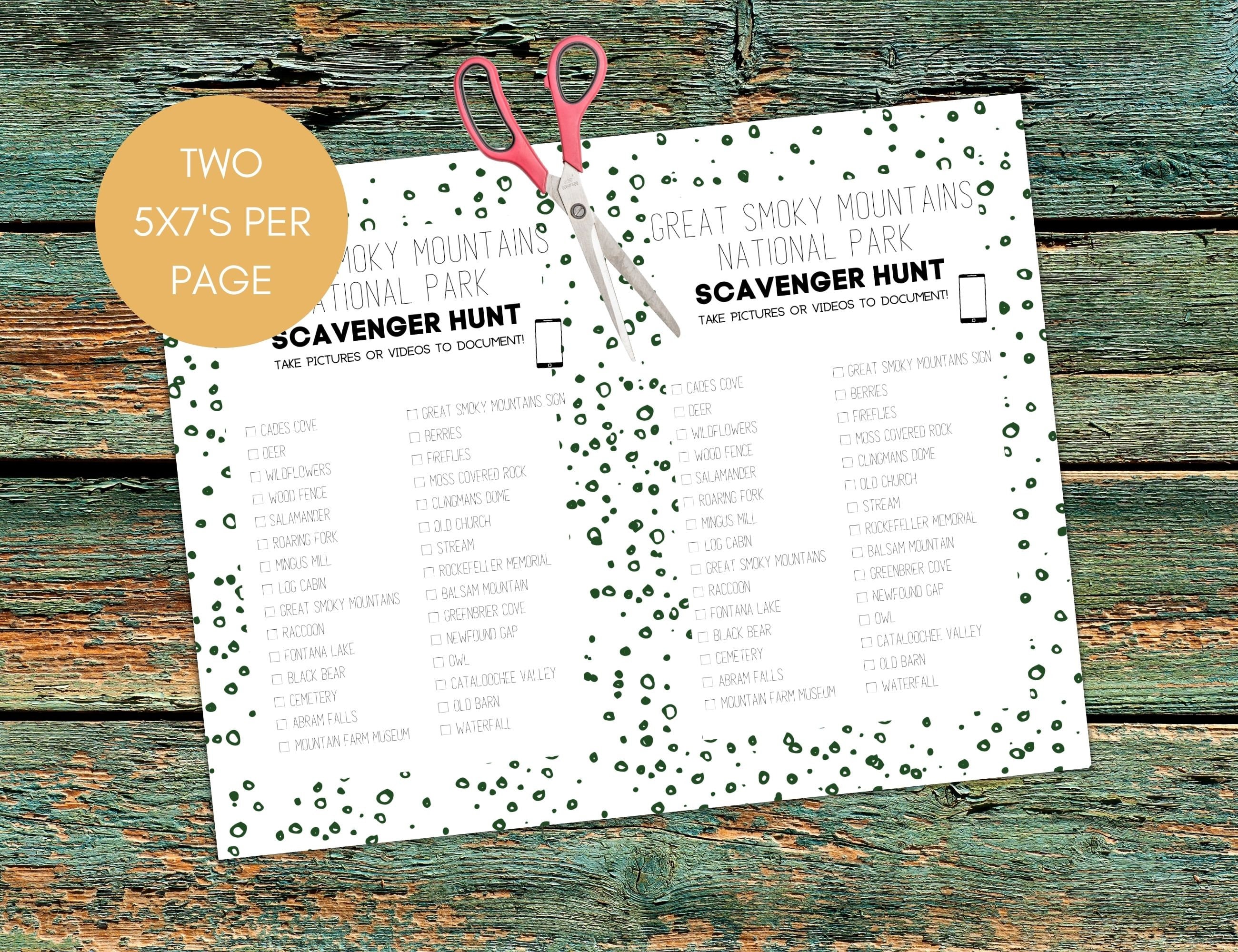 Great Smoky Mountains National Park Photo Scavenger Hunt | US National ...