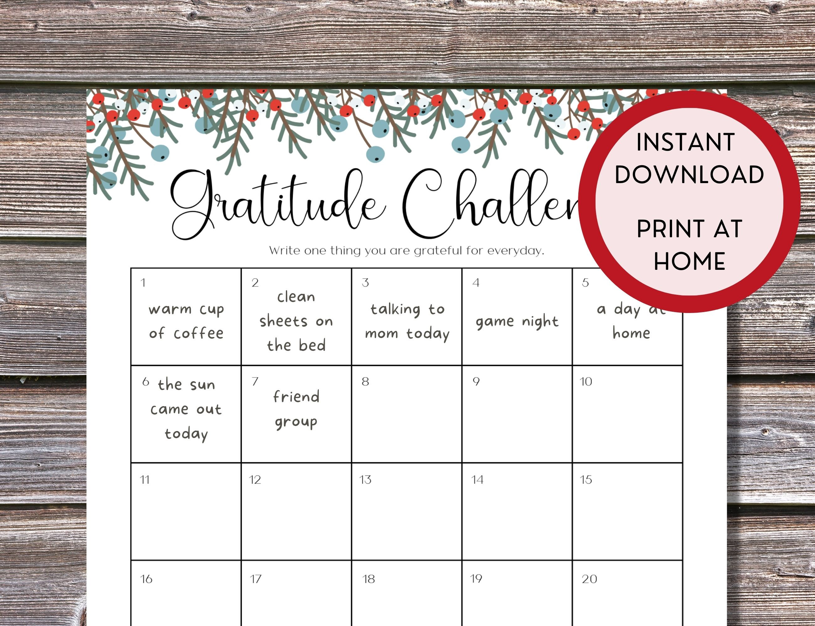 30 Day Winter Gratitude Challenge Printable | Monthly Challenge Tracker ...