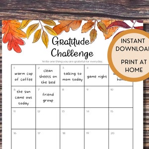 30 Day Gratitude Challenge Printable | Monthly Challenge Tracker ...