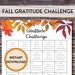 30 Day Gratitude Challenge Printable | Monthly Challenge Tracker ...