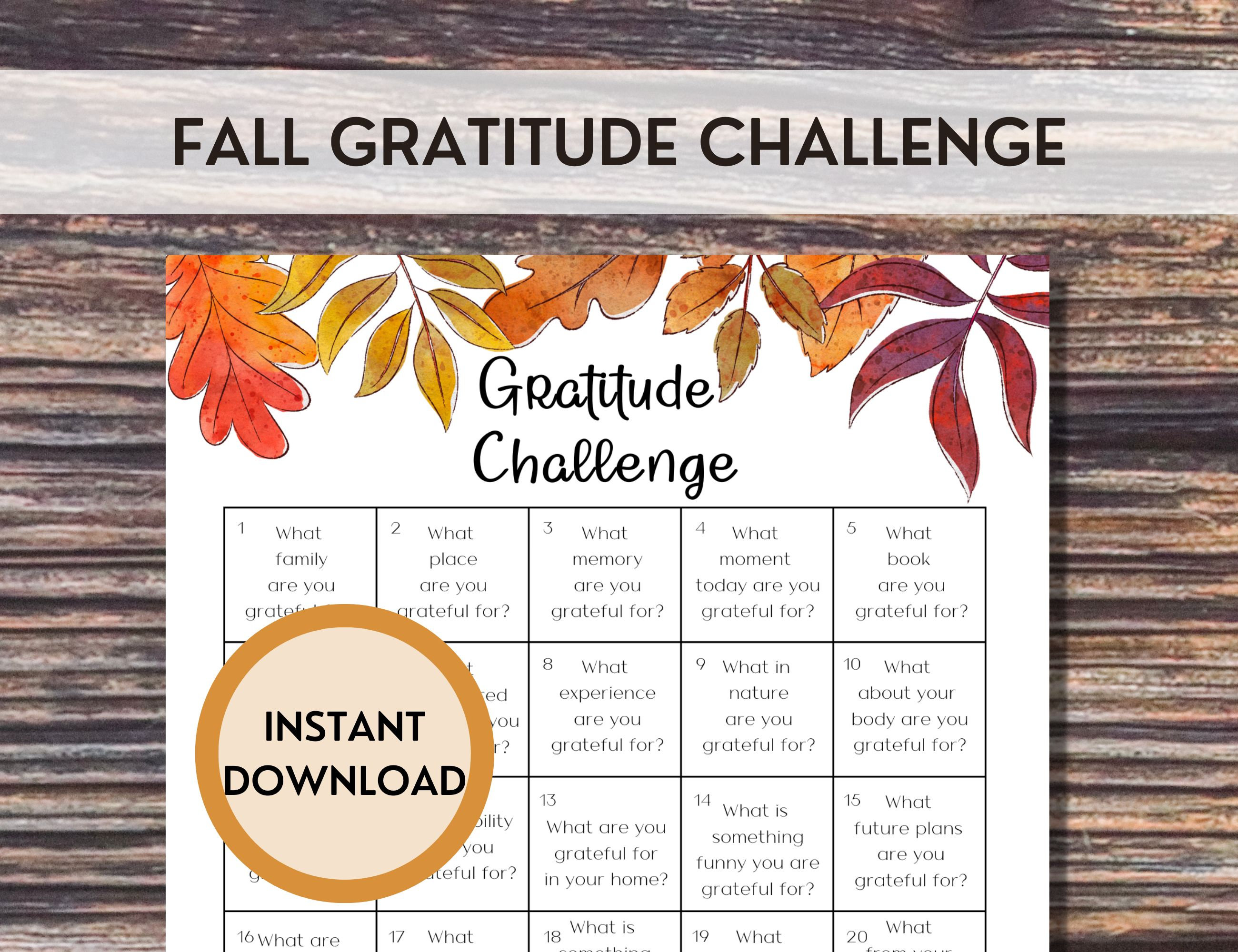 30 Day Gratitude Challenge Printable | Monthly Challenge Tracker ...