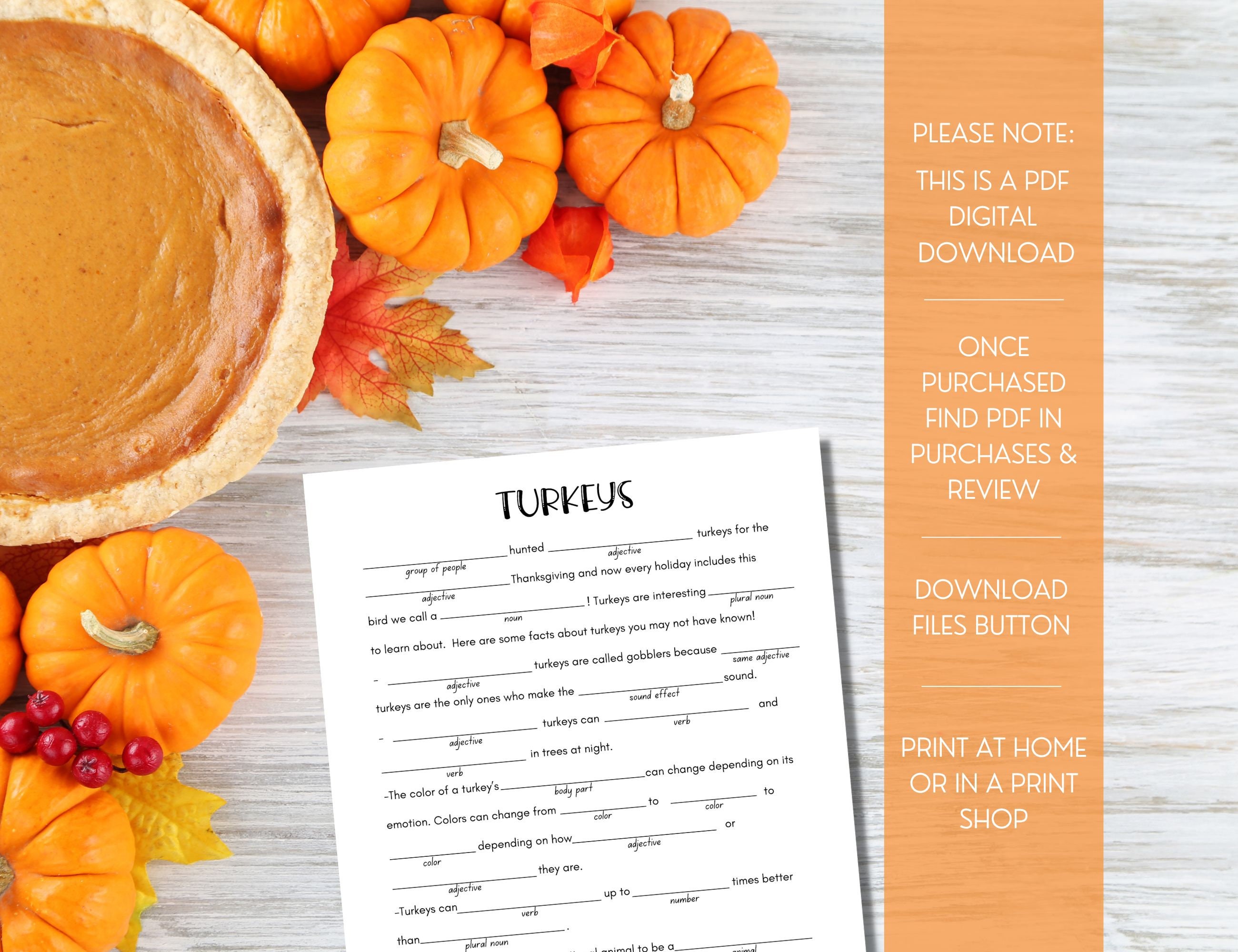 Family Thanksgiving Libs Printable Games | Funny Fill in the Blank Word ...
