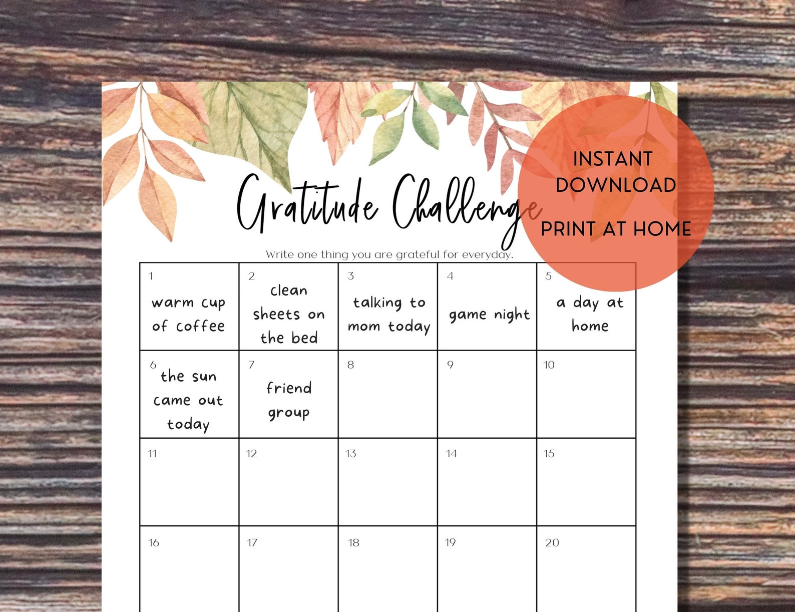 30 Day Gratitude Challenge Printable Monthly Challenge - Etsy