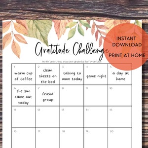 30 Day Gratitude Challenge Printable Monthly Challenge - Etsy