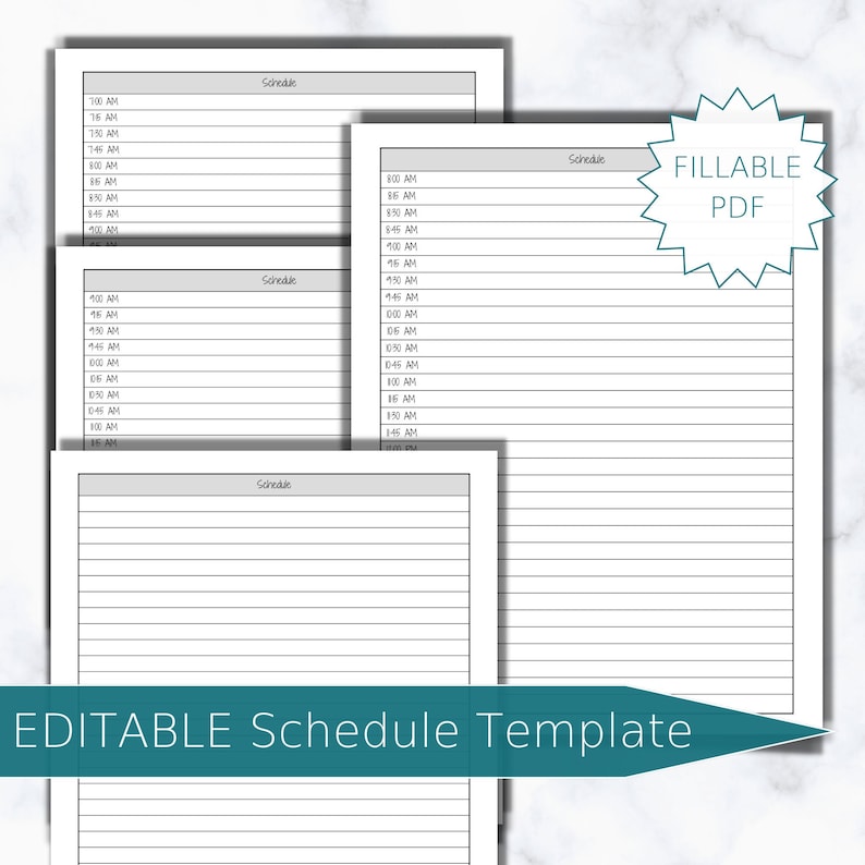 EDITABLE Daily Schedule, 15 Minute Increments, FILLABLE PDF, Digital ...