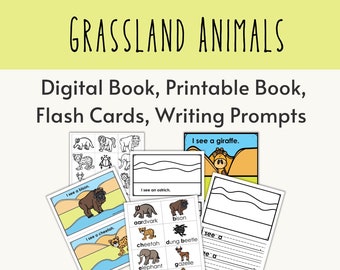 Phonics Assessment Guide - Etsy